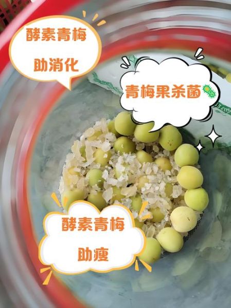 青梅酵素怎么做_青梅酵素的功效与作用-第1张图片-山城妙识