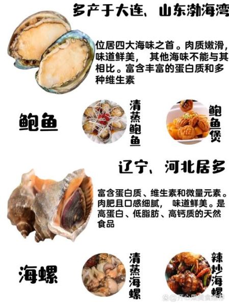 海鲜贝类有哪些种类_常见贝类品种大全-第2张图片-山城妙识