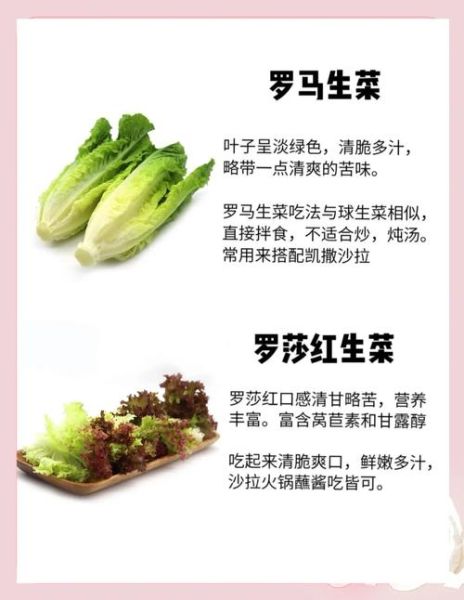 做蔬菜沙拉需要什么材料_蔬菜沙拉食材清单-第3张图片-山城妙识