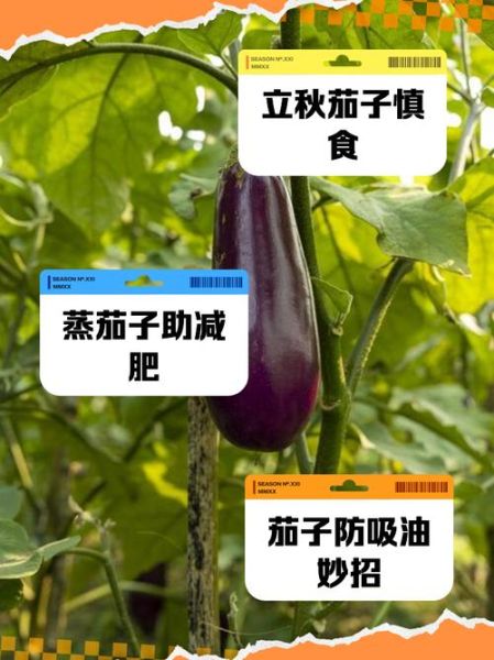 茄子能降血压吗_吃茄子的禁忌有哪些-第3张图片-山城妙识
