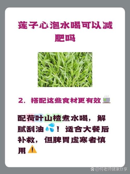 莲子心泡水喝减肥吗_莲子心茶减肥原理-第2张图片-山城妙识