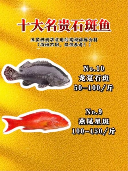 石斑鱼多少钱一斤2018_2018年石斑鱼价格走势-第1张图片-山城妙识
