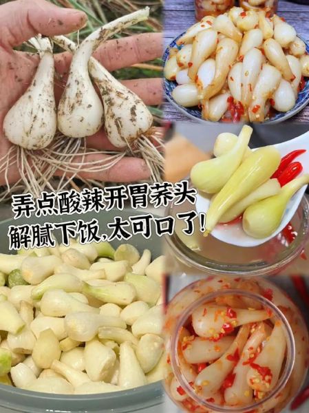 荞头怎么腌制好吃_荞头腌制多久能吃-第3张图片-山城妙识