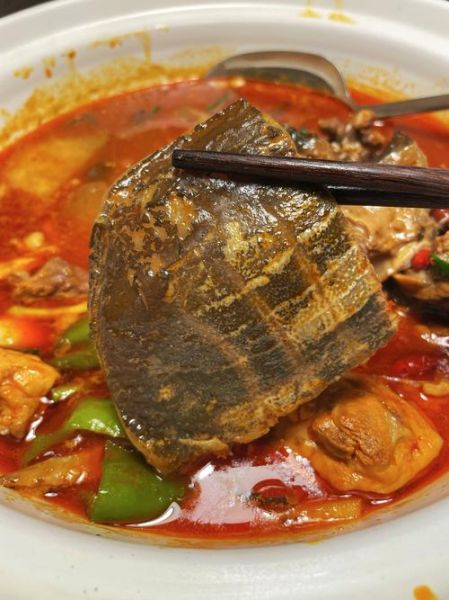 霸王别姬菜名主料是什么_正宗做法用什么肉-第1张图片-山城妙识
