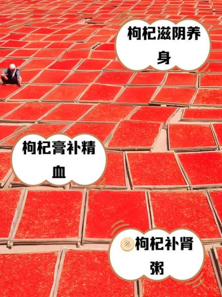 新鲜枸杞怎么吃效果最好_枸杞一天吃多少粒-第2张图片-山城妙识