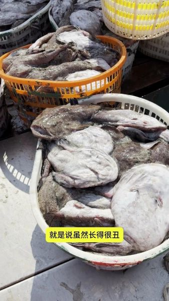 安康鱼的功效与禁忌_孕妇能吃吗-第2张图片-山城妙识
