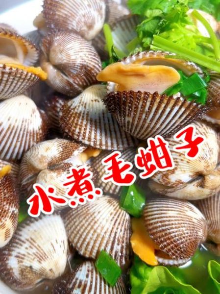 毛蚶煮多久能去寄生虫_毛蚶煮几分钟最安全-第1张图片-山城妙识