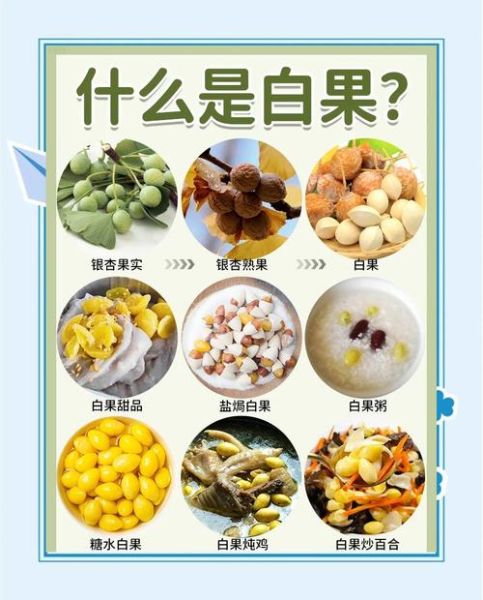 银杏果怎么吃_银杏果的功效与作用-第1张图片-山城妙识