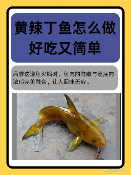 黄辣丁儿童吃怎么做_黄辣丁适合孩子吃吗-第2张图片-山城妙识