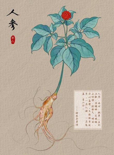 川芎茶调颗粒的功效与作用_川芎茶调颗粒怎么服用-第2张图片-山城妙识 川芎茶调颗粒的功效与作用_川芎茶调颗粒怎么服用-第2张图片-山城妙识