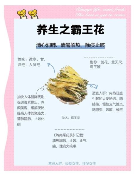 霸王花图片_霸王花有什么功效-第1张图片-山城妙识