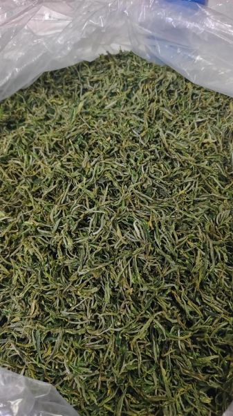 黄山毛峰属于什么茶_黄山毛峰口感怎么样-第2张图片-山城妙识 黄山毛峰属于什么茶_黄山毛峰口感怎么样-第2张图片-山城妙识