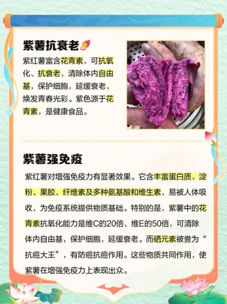 女人吃紫薯有什么好处_紫薯对女性的功效与作用-第1张图片-山城妙识