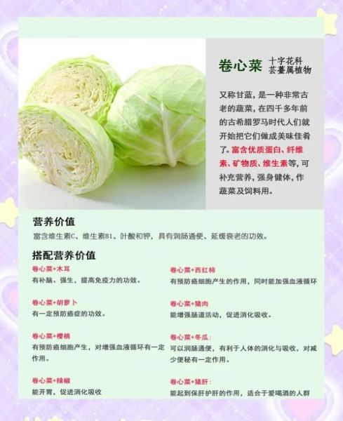 鸡毛菜怎么种_鸡毛菜营养价值-第3张图片-山城妙识