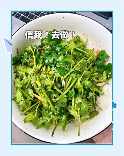 十香菜怎么吃_十香菜的做法大全-第2张图片-山城妙识