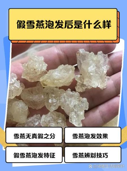 真假雪燕图片对比_雪燕真假鉴别方法-第1张图片-山城妙识