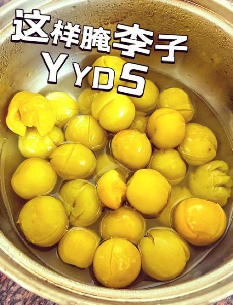 青李子怎么做好吃_青李子做法大全-第1张图片-山城妙识 青李子怎么做好吃_青李子做法大全-第1张图片-山城妙识