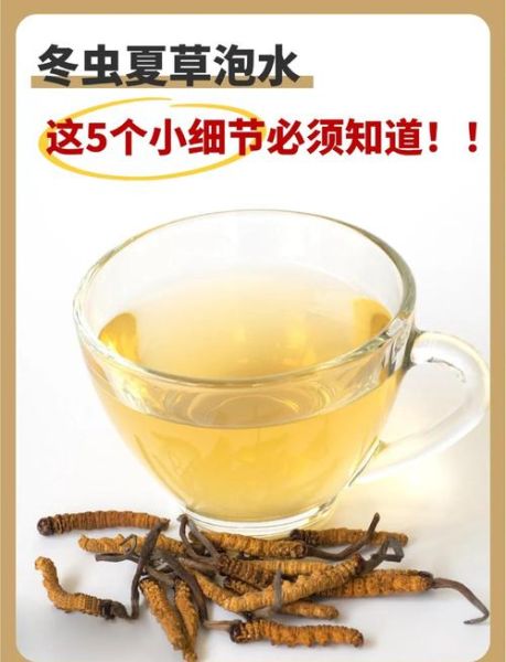 虫草泡水喝的正确方法_虫草泡水一次放几根-第1张图片-山城妙识 虫草泡水喝的正确方法_虫草泡水一次放几根-第1张图片-山城妙识