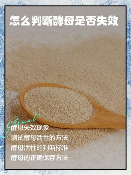 酵母开封后多久失效_如何判断干酵母是否还能用-第2张图片-山城妙识 酵母开封后多久失效_如何判断干酵母是否还能用-第2张图片-山城妙识