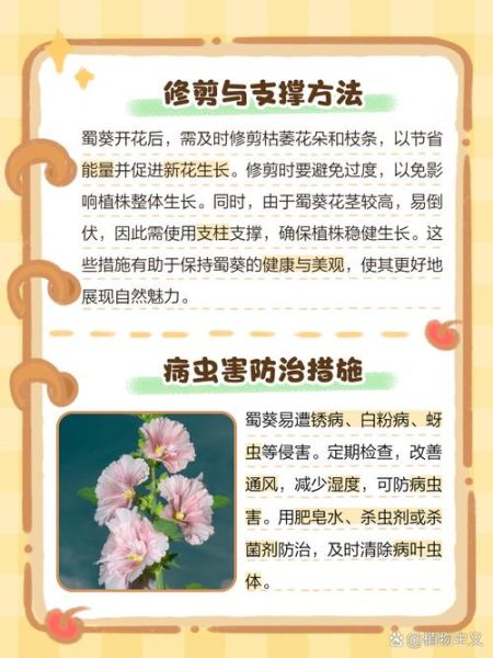 蜀葵什么时候开花_蜀葵怎么养-第1张图片-山城妙识