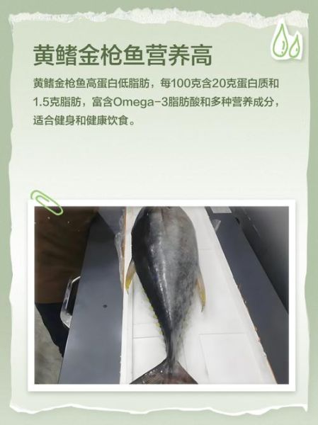 黄鳍金枪鱼多少钱一斤_黄鳍金枪鱼最新价格走势-第2张图片-山城妙识