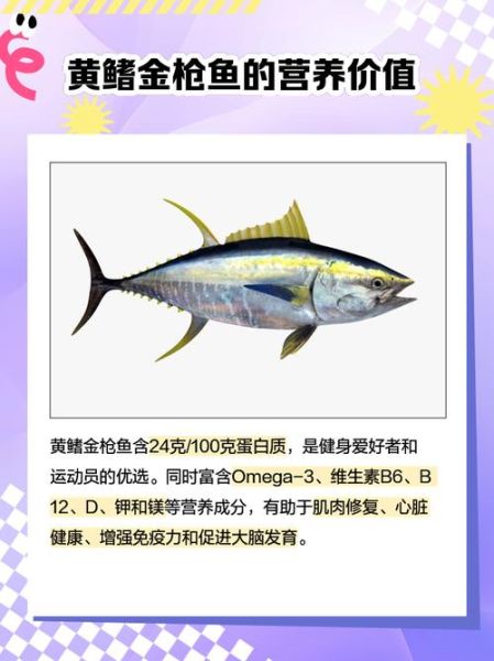 黄鳍金枪鱼多少钱一斤_黄鳍金枪鱼最新价格走势-第1张图片-山城妙识