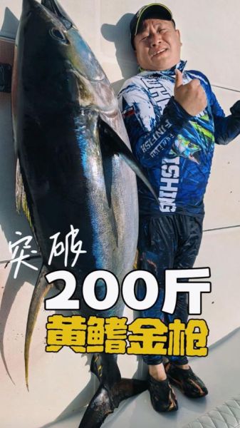 黄鳍金枪鱼多少钱一斤_黄鳍金枪鱼最新价格走势-第3张图片-山城妙识