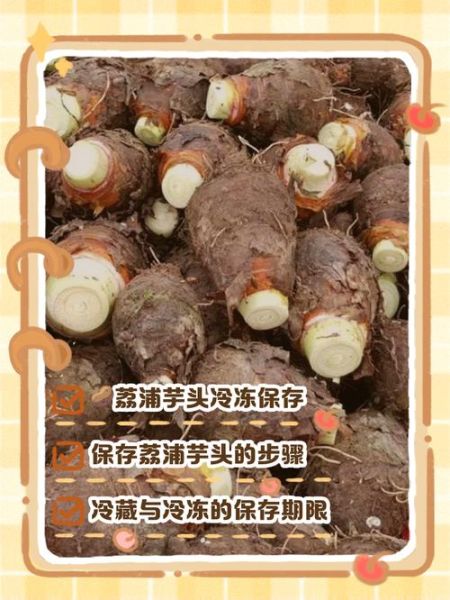 荔浦芋头怎么保存_荔浦芋头能放多久-第1张图片-山城妙识
