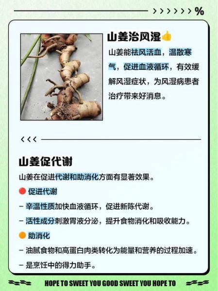 山姜头的功效与作用_山姜头怎么吃效果最好-第2张图片-山城妙识