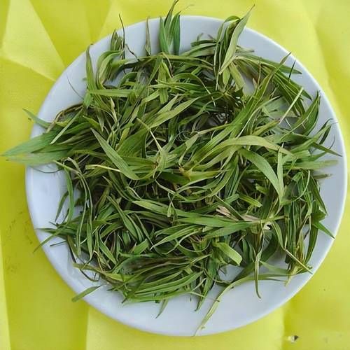 风热感冒吃什么好得快_风热感冒食疗偏方-第2张图片-山城妙识