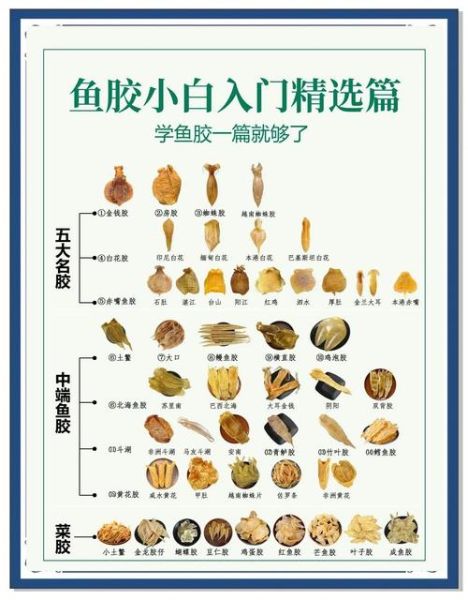 鱼胶多久吃一次最好_鱼胶一周吃几次合适-第3张图片-山城妙识