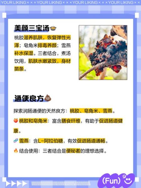 雪燕桃胶皂角米禁忌_孕妇能吃吗-第1张图片-山城妙识