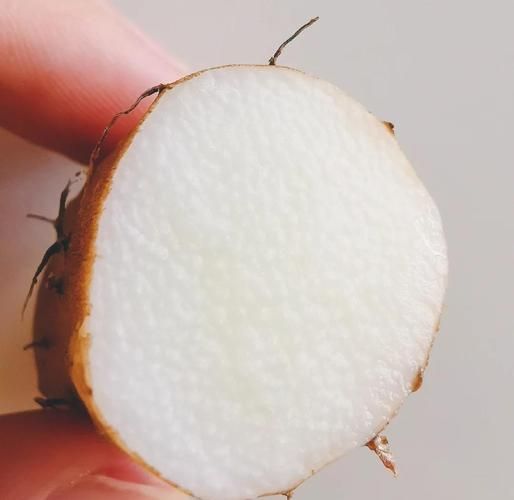 清蒸山药怎么做_清蒸山药要蒸多久-第3张图片-山城妙识
