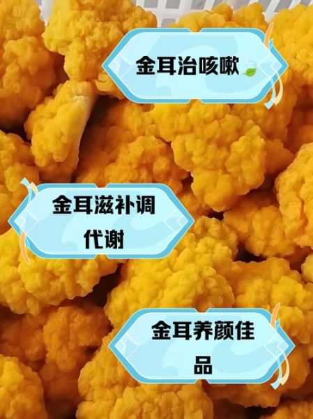 金耳和银耳的区别_哪个营养价值更高-第1张图片-山城妙识