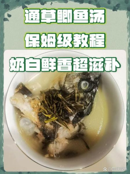 通草鲫鱼汤下奶吗_通草鲫鱼汤的做法与功效-第3张图片-山城妙识