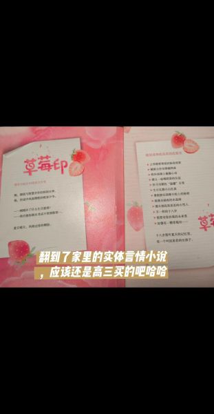 草莓印小说全文免费阅读无删减_哪里能看正版-第3张图片-山城妙识