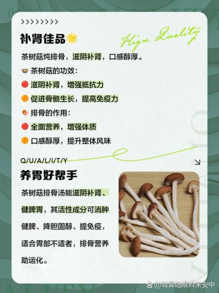 茶树菇排骨汤的功效与禁忌_孕妇可以喝吗-第1张图片-山城妙识