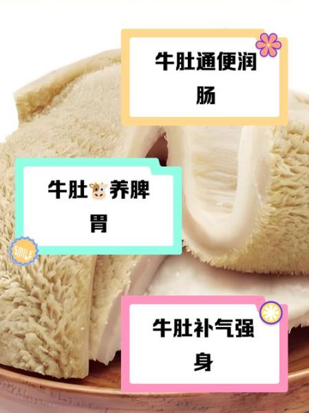 牛肉和牛肚哪个更营养_吃牛肚好还是牛肉好-第1张图片-山城妙识