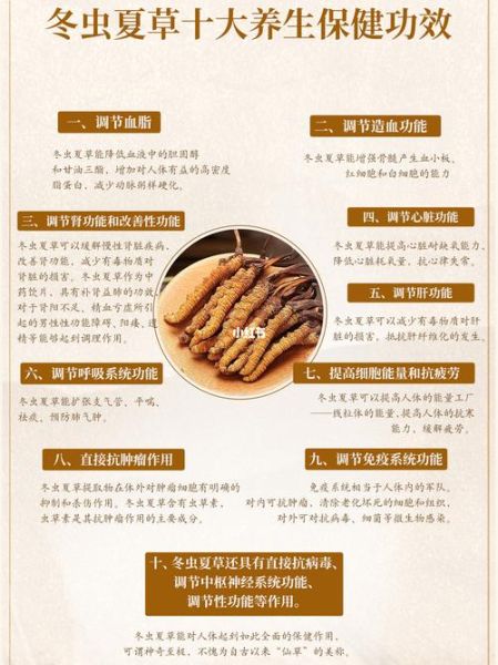 冬虫夏草的功效与作用_适合什么人吃-第2张图片-山城妙识