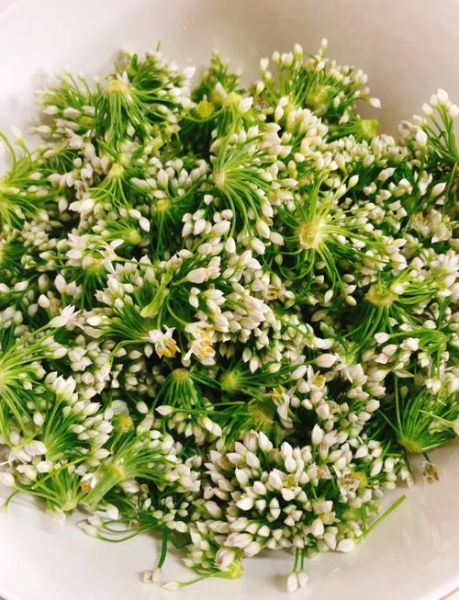 韭菜花酱怎么做最好吃_韭菜花酱的正宗做法-第1张图片-山城妙识