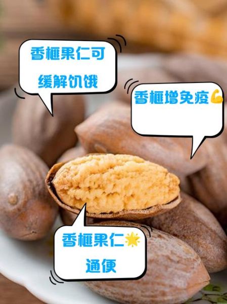 香榧是什么东西_香榧怎么吃最好-第3张图片-山城妙识