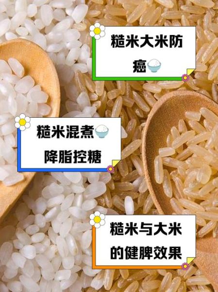 糙米是什么米_糙米和白米的区别-第1张图片-山城妙识