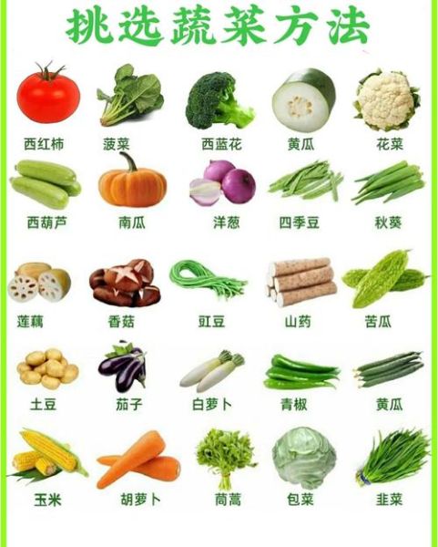 常见蔬菜种类有哪些_100种蔬菜图片大全-第1张图片-山城妙识