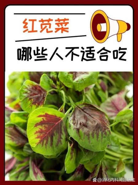 苋菜有哪些品种_苋菜怎么区分-第3张图片-山城妙识