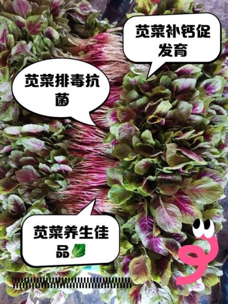 苋菜有哪些品种_苋菜怎么区分-第2张图片-山城妙识