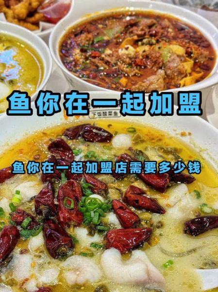 鱼你在一起加盟费一年给一次吗_鱼你在一起加盟费怎么交-第1张图片-山城妙识
