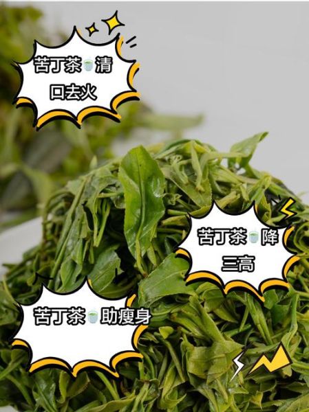 苦丁茶喝了有什么效果_苦丁茶的功效与作用-第2张图片-山城妙识