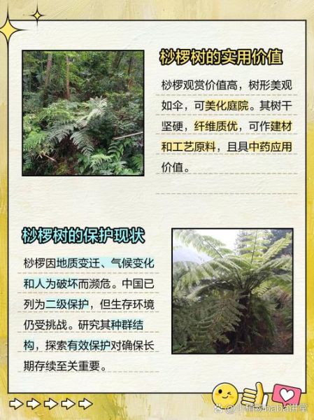 裟椤怎么读_裟椤是什么意思-第2张图片-山城妙识