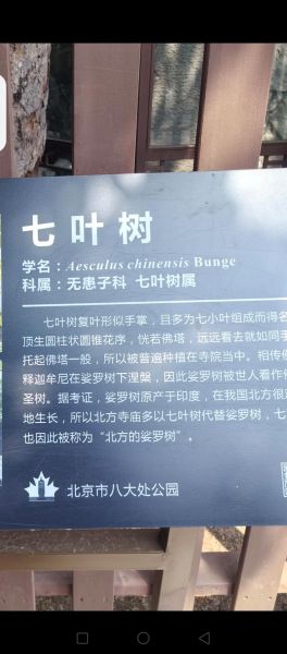 裟椤怎么读_裟椤是什么意思-第1张图片-山城妙识