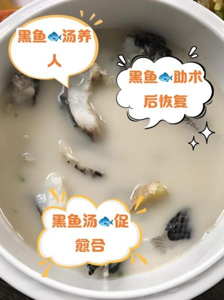 黑鱼汤怎么做最白_黑鱼汤的功效与作用-第1张图片-山城妙识